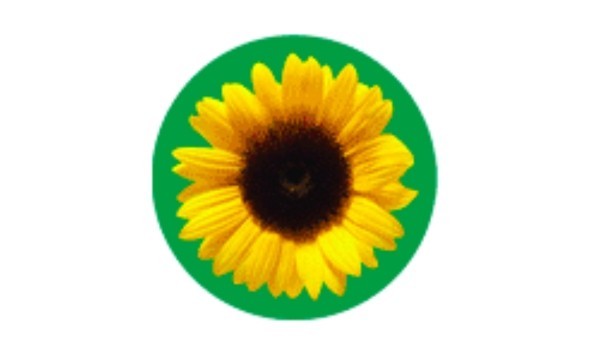 Free Car Magnet - go go go! | Magic Freebies