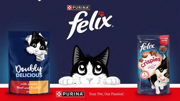 Guide to Free Pet Products: Food, Toys, Vouchers | Magic Freebies